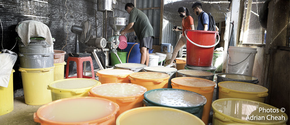 Bedak sejuk, a trusted beauty secret of our grandmothers